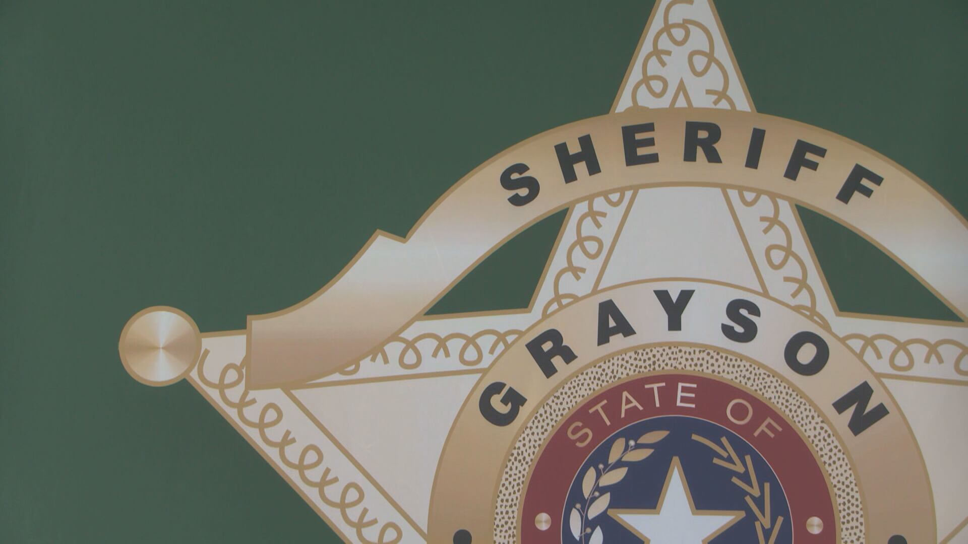 Man arrested, 39 horses recovered in Grayson County animal cruelty ...