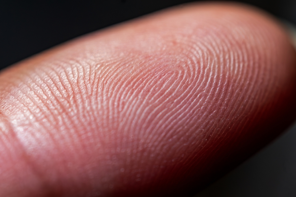 CBP wants one company to fingerprint all 60,000+ of its workers
