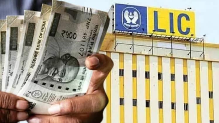 LIC bonus shares: Stock jumps 8%; Q4 results preview, target price