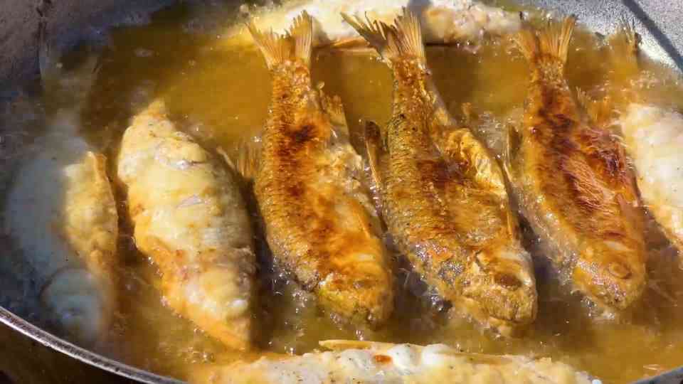How to fry fresh fish outdoors in the countryside