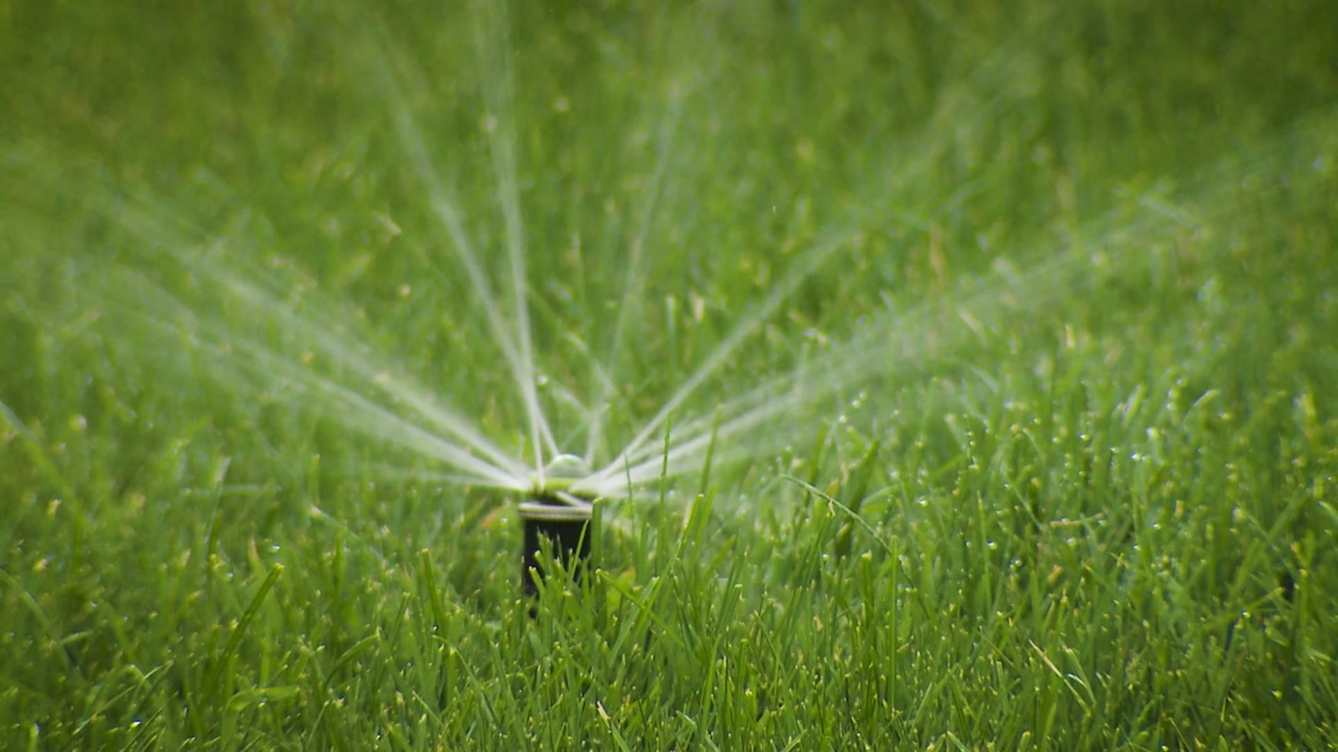 City of Arvada orders mandatory watering restrictions amid ongoing drought