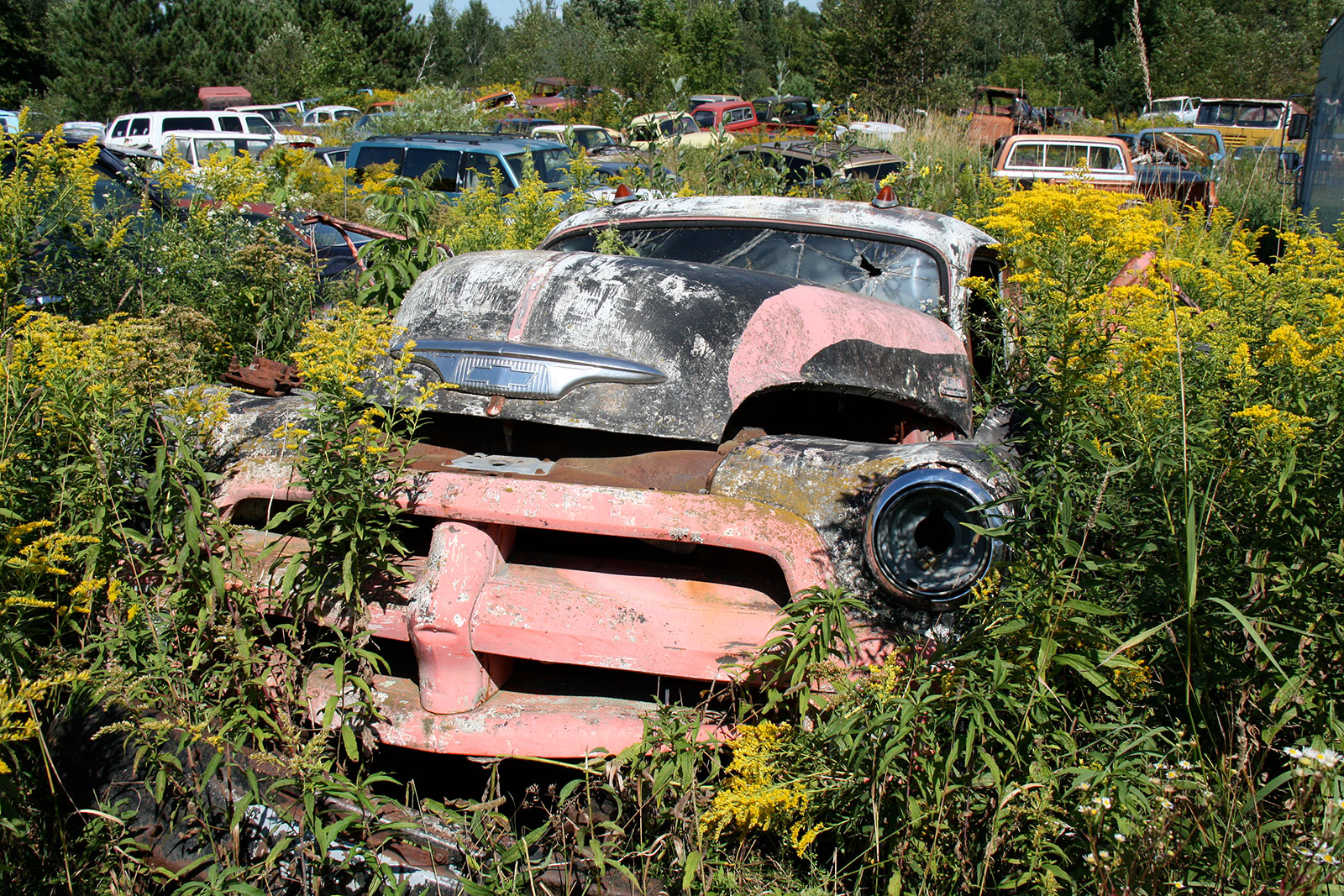 De juwelen van G&G Auto Salvage, Bruce, Wisconsin