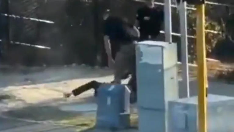 Security officers suspended after video of brutal assault goes viral