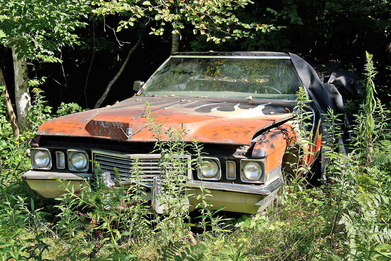 De juwelen van G&G Auto Salvage, Bruce, Wisconsin