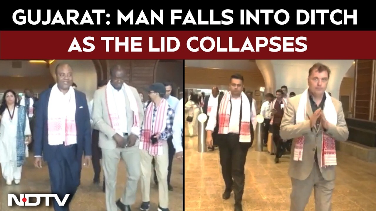 Assam Assembly elections 2026: Foreign delegation arrives in state to ...