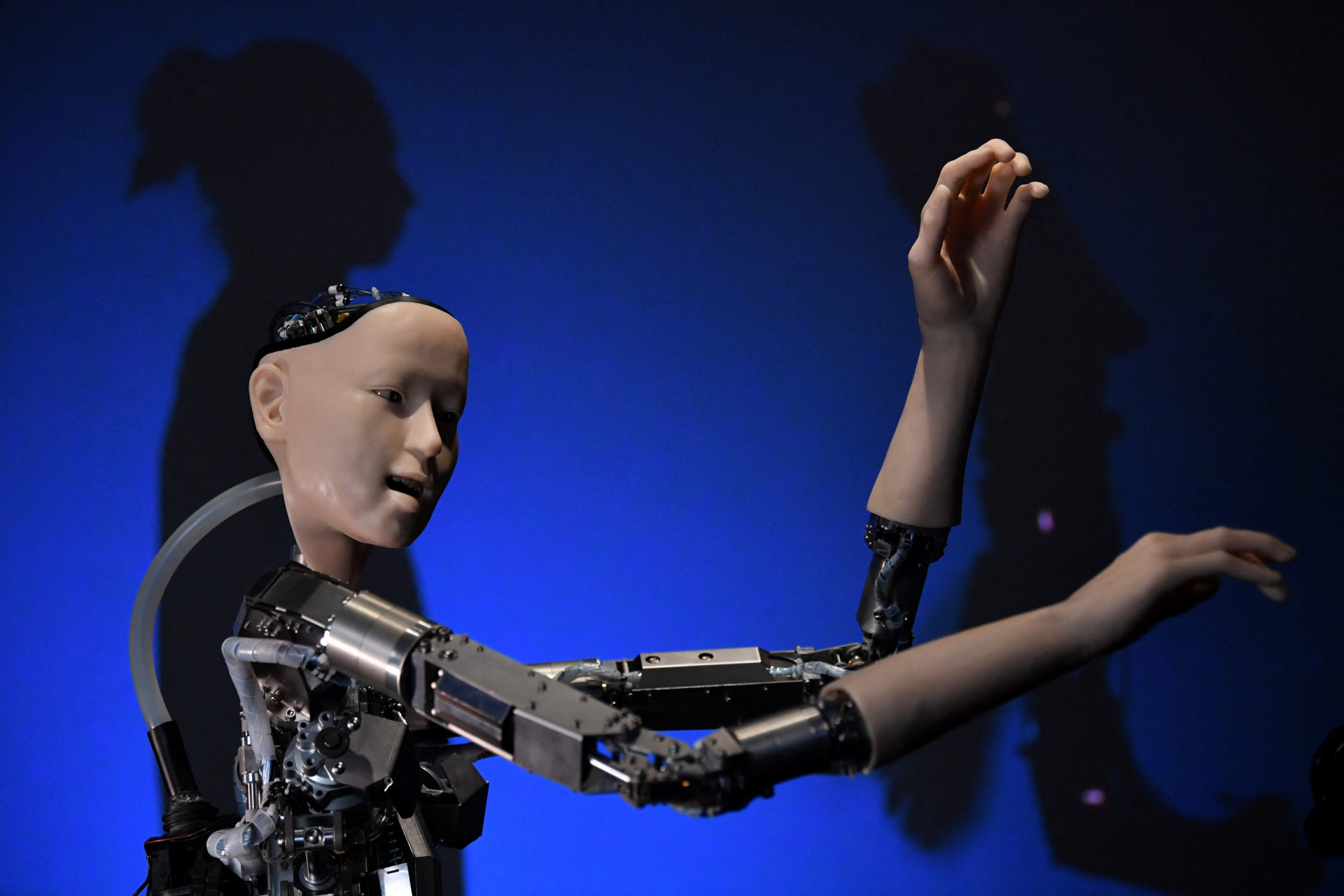 Humanoid robots that could replace humans