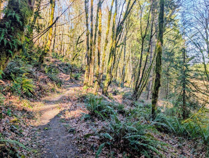This gorgeous Oregon state park is perfect for a stress-free weekend escape