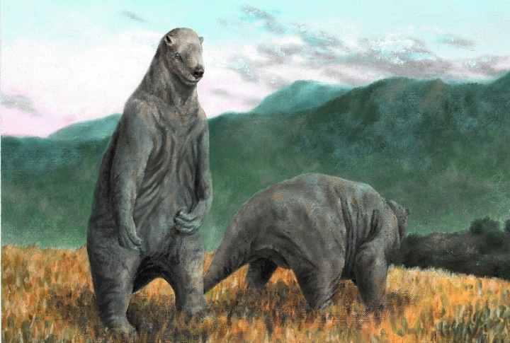 10 lost animals that prove nature doesn't play favorites