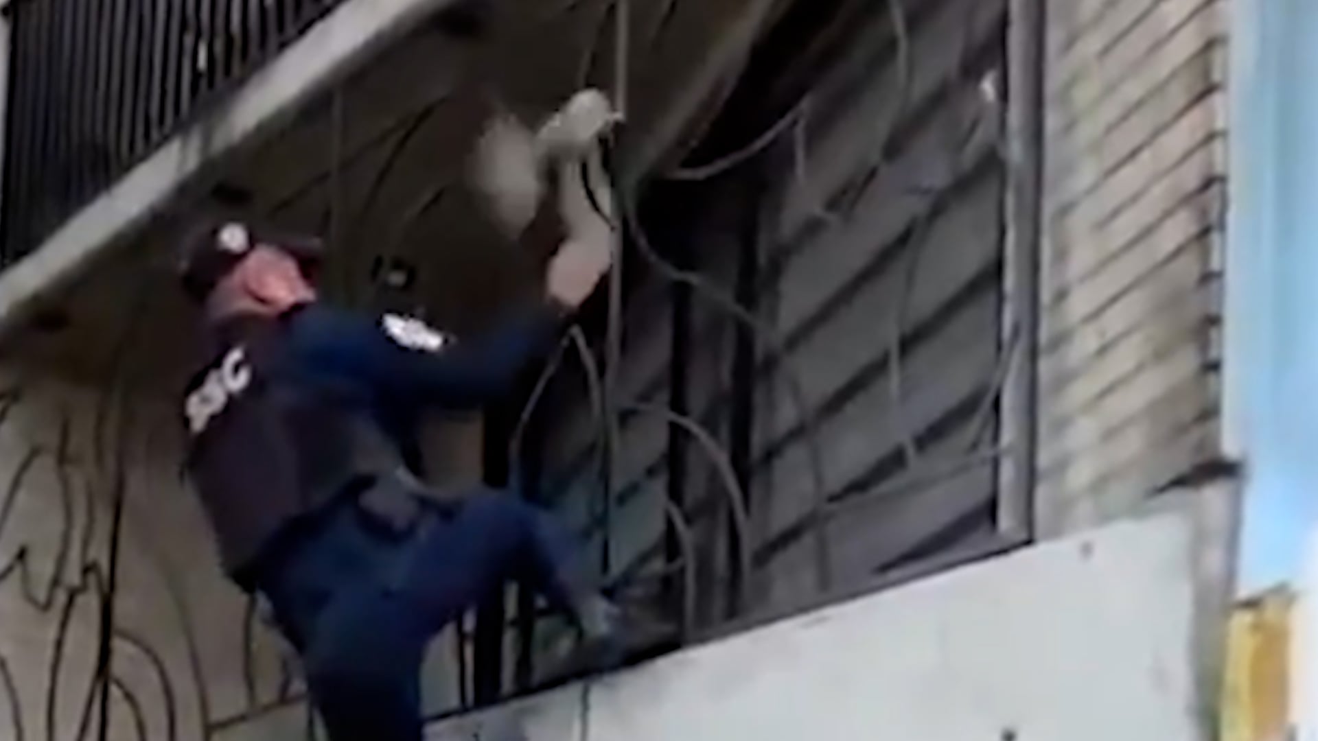 Heartwarming moment police rescue pigeon trapped on railing