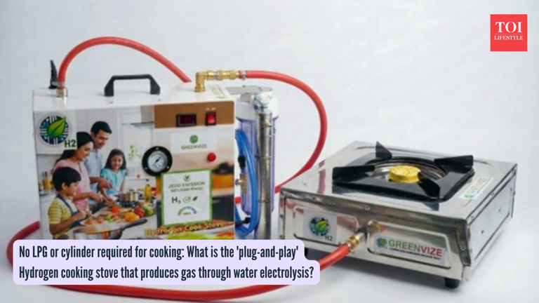 No LPG or cylinder required for cooking: What is the 'plug-and-play ...