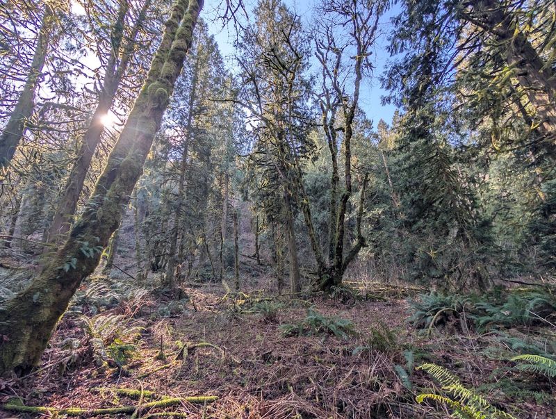 This gorgeous Oregon state park is perfect for a stress-free weekend escape