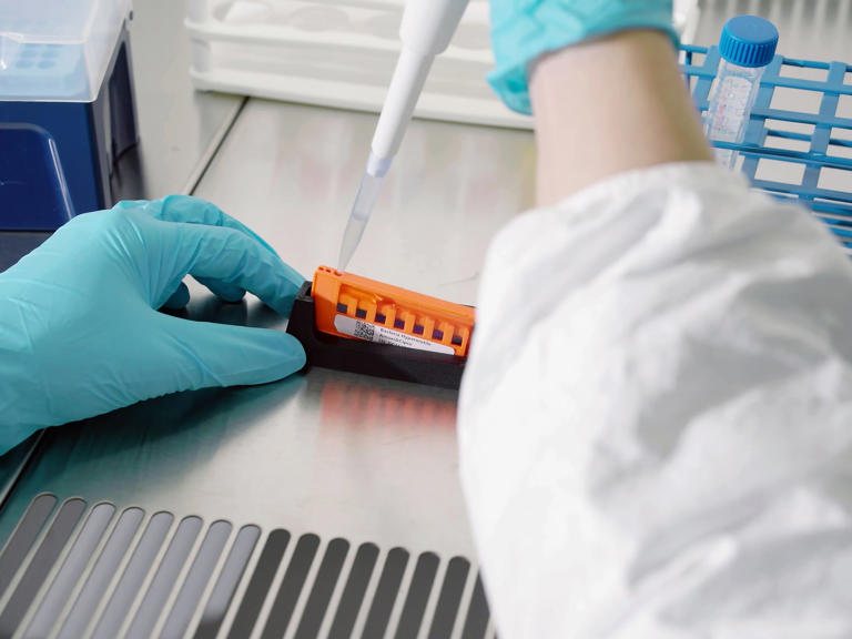 Tiny graphene drums let doctors identify bacteria by sound