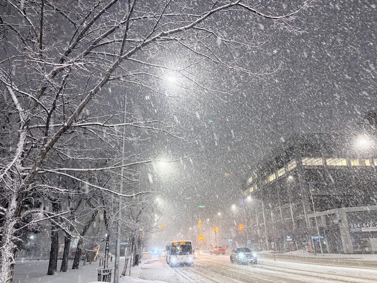 Alberta clipper brings spring snowstorm to southern Manitoba, closes ...