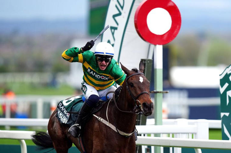 Grand National 2026 runners as I Am Maximum favourite with six horses ...