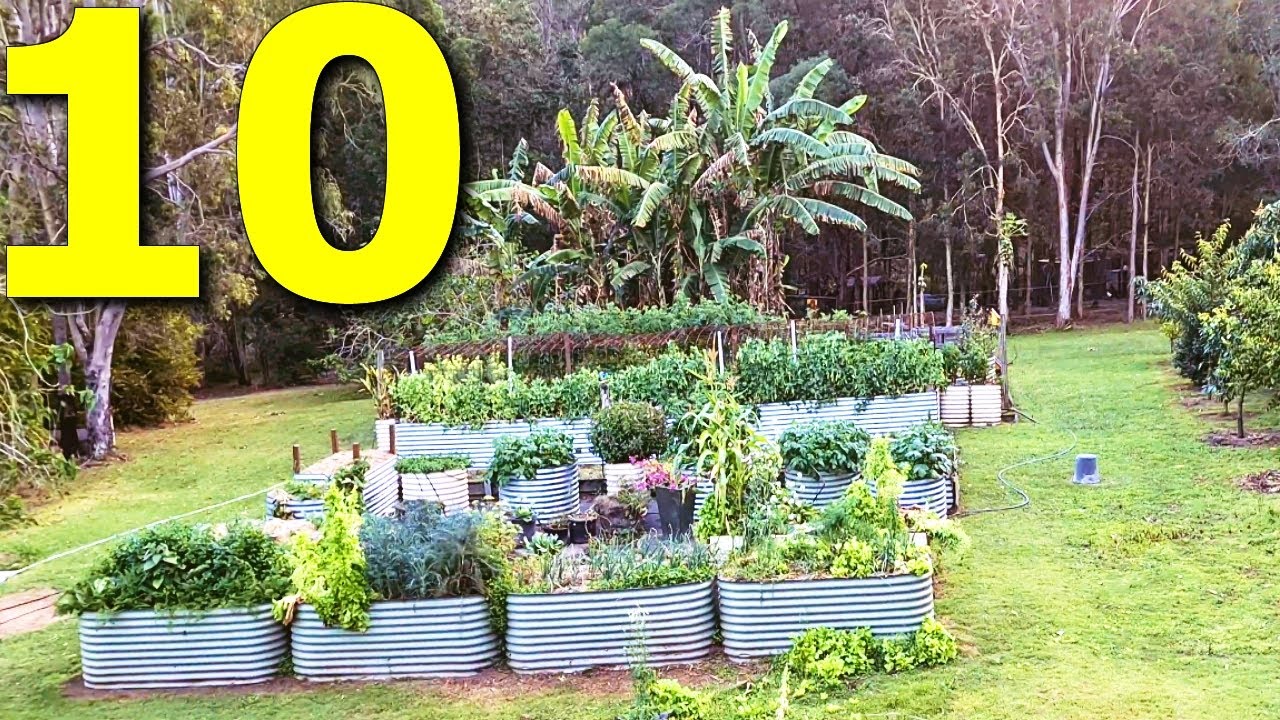 Top 10 must-grow vegetables for a healthy & productive home garden