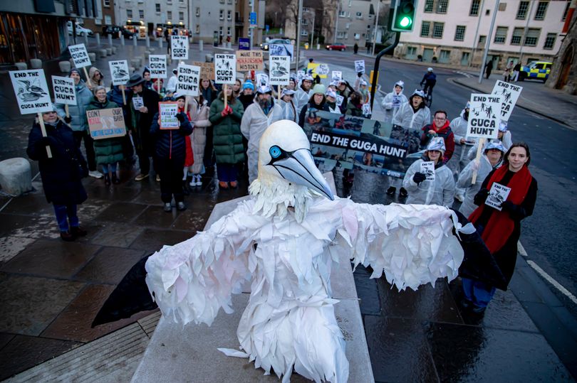 Edinburgh man dressed as giant bird will run for MSP in 'unusual' campaign