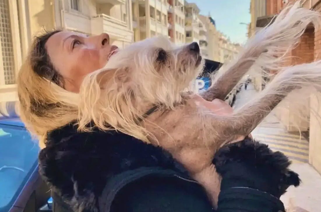 Chien de Loana retrouvé mort : que devient la dépouille de Titi