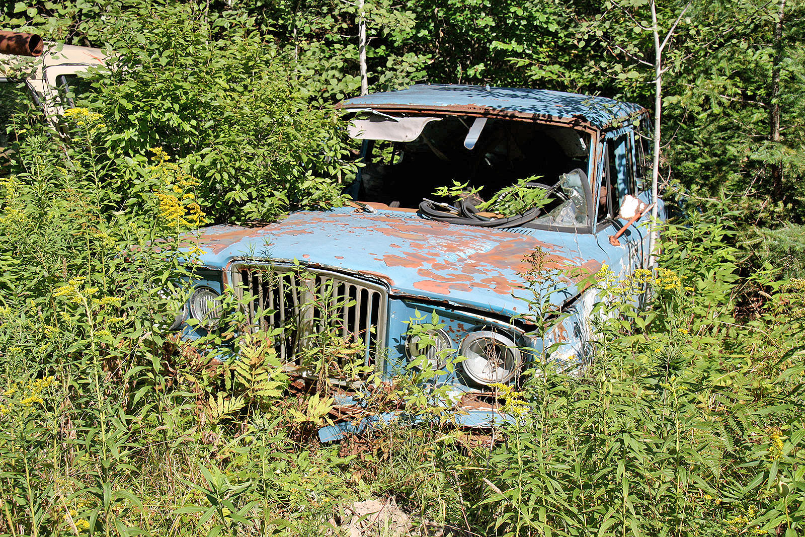 The junkyard gems of G&G Auto Salvage, Bruce, Wisconsin