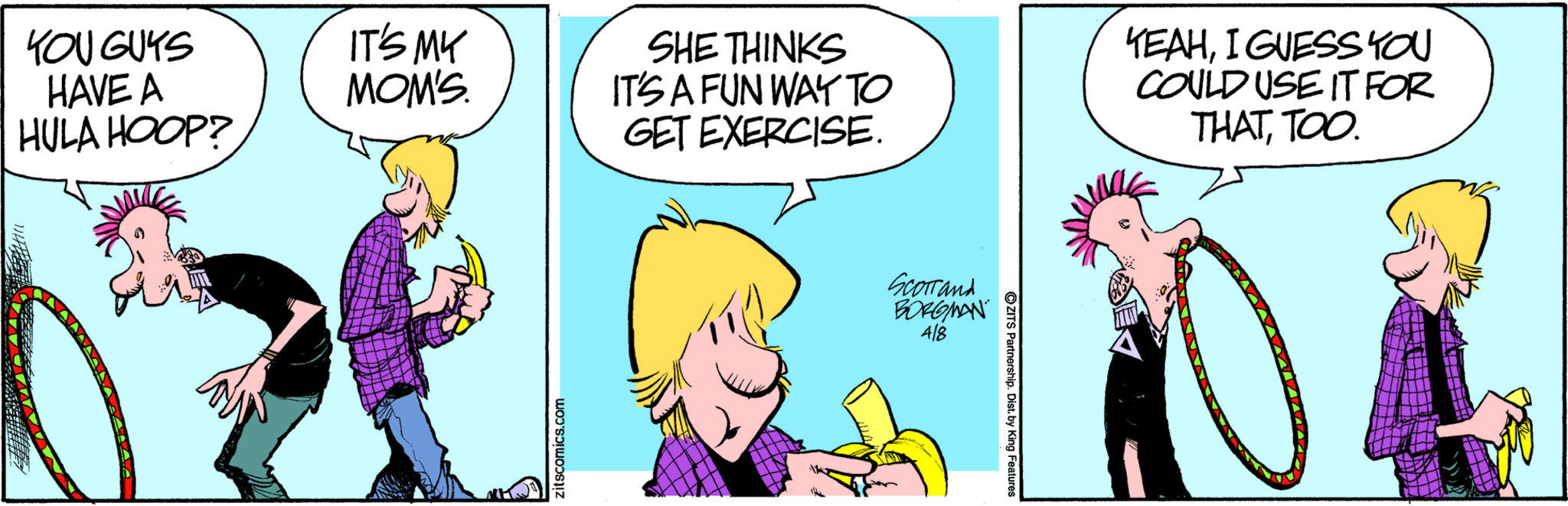 Zits by Jerry Scott and Jim Borgman