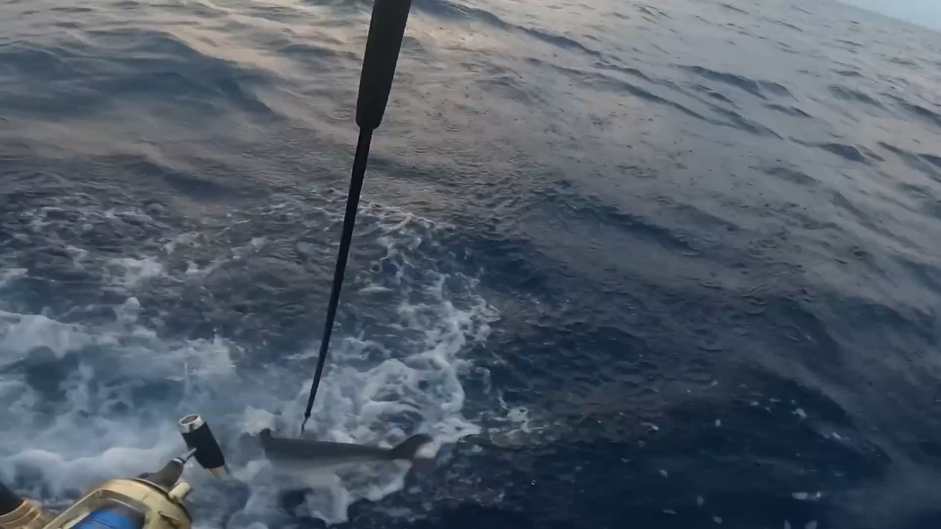 The bait hit the water… then something exploded on it