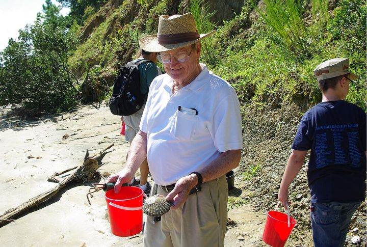 10 essential tips for fossil hunting across the US