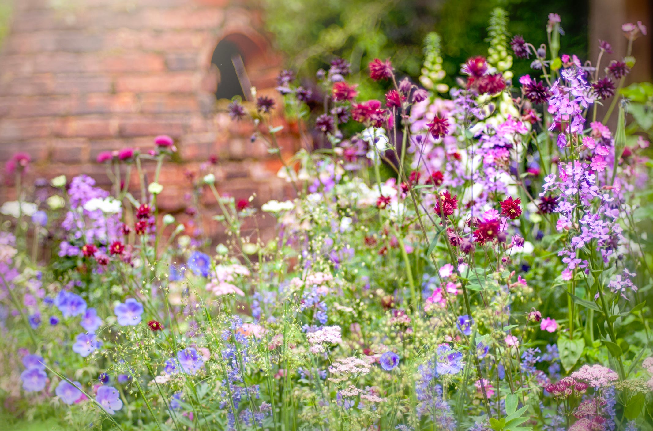 12 pretty cottage garden ideas for a wild outdoor space – including ...