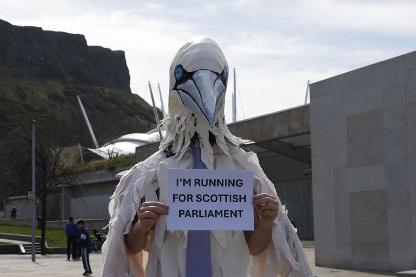 Edinburgh man dressed as giant bird will run for MSP in 'unusual' campaign