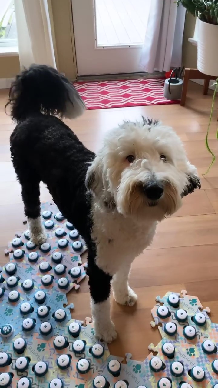 I can't say no to that face