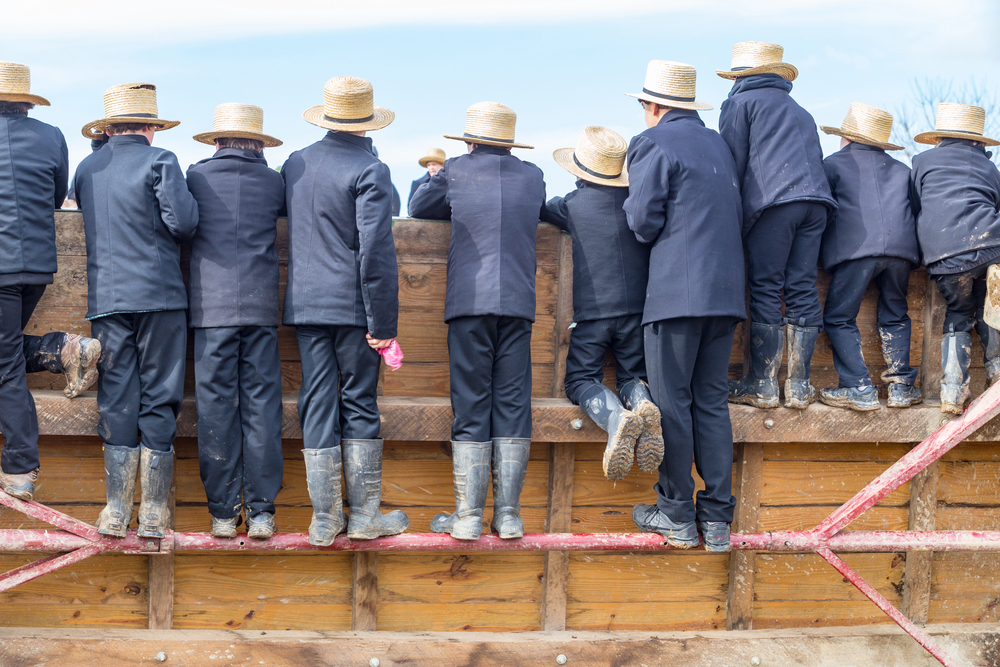 15 things you never knew about the Amish