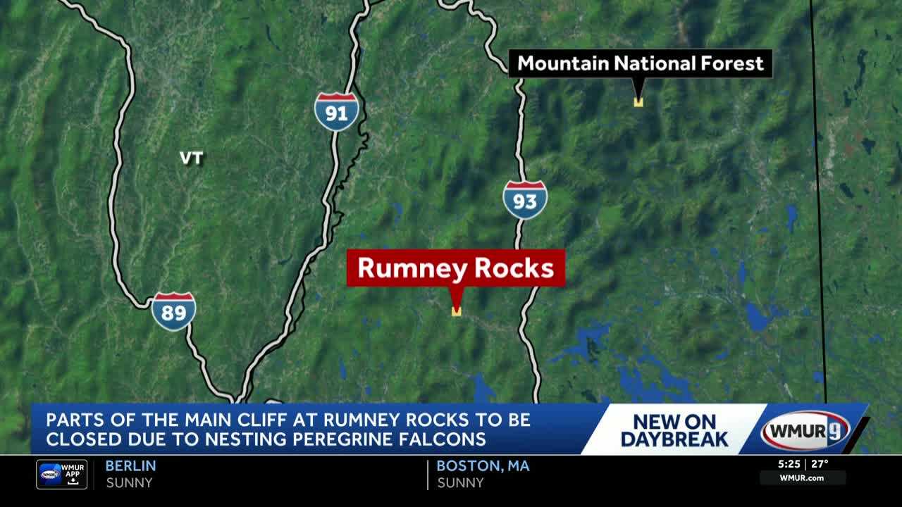 Parts of main cliff at Rumney Rocks to be closed due to nesting ...