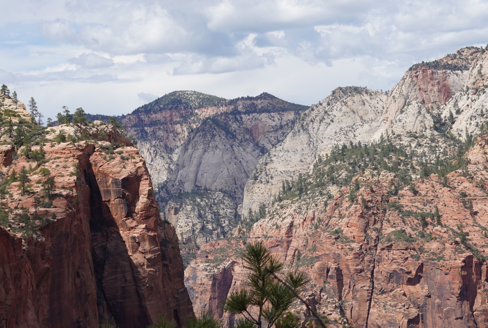 Sights that will genuinely amaze you in Zion National Park