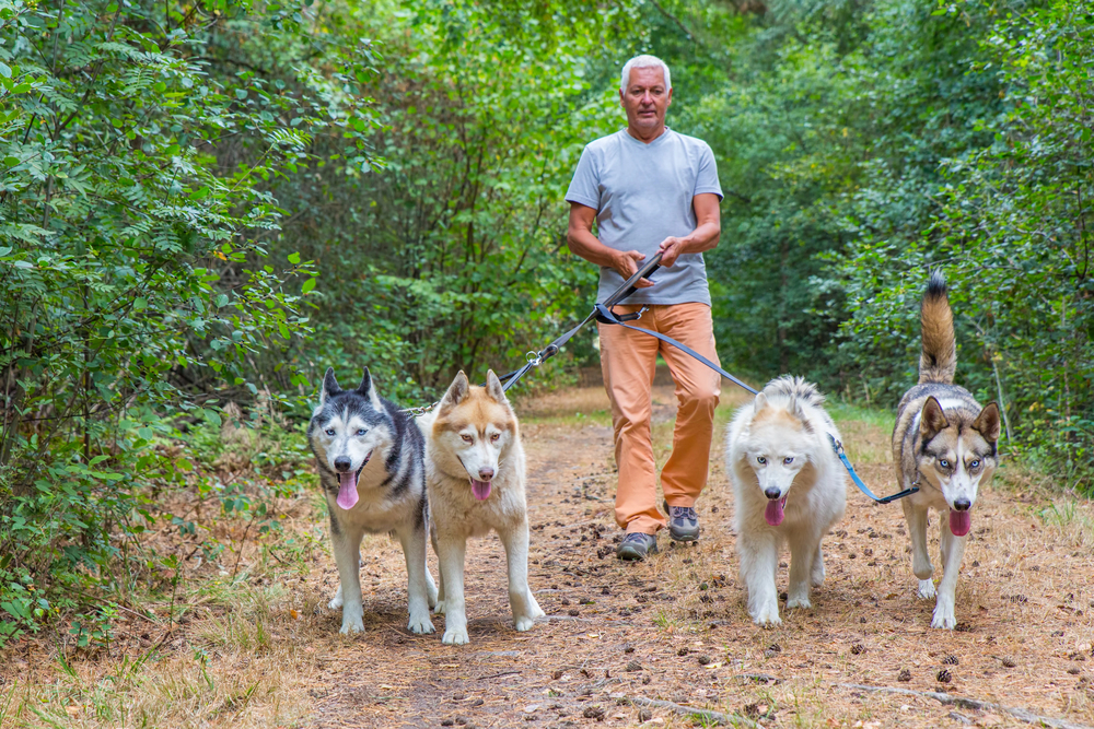 15 tips to adjust to your new retirement routine