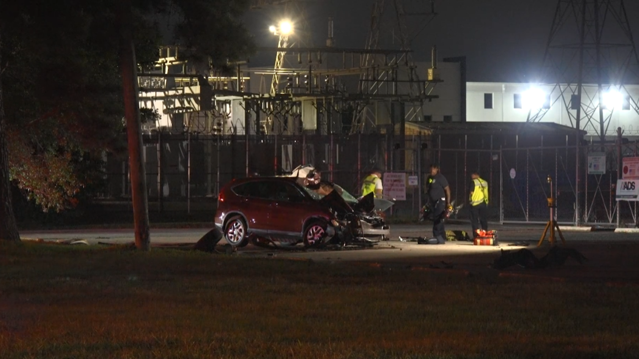 Aldine Westfield: Horse killed after vehicle crash in north Harris County