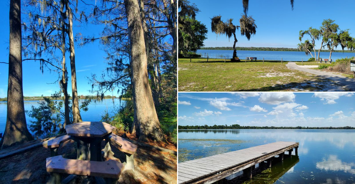These Florida picnic spots are worth packing a cooler for