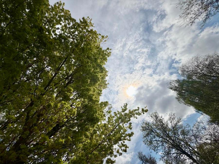 Rain absent as latest warming trend takes shape over Portland