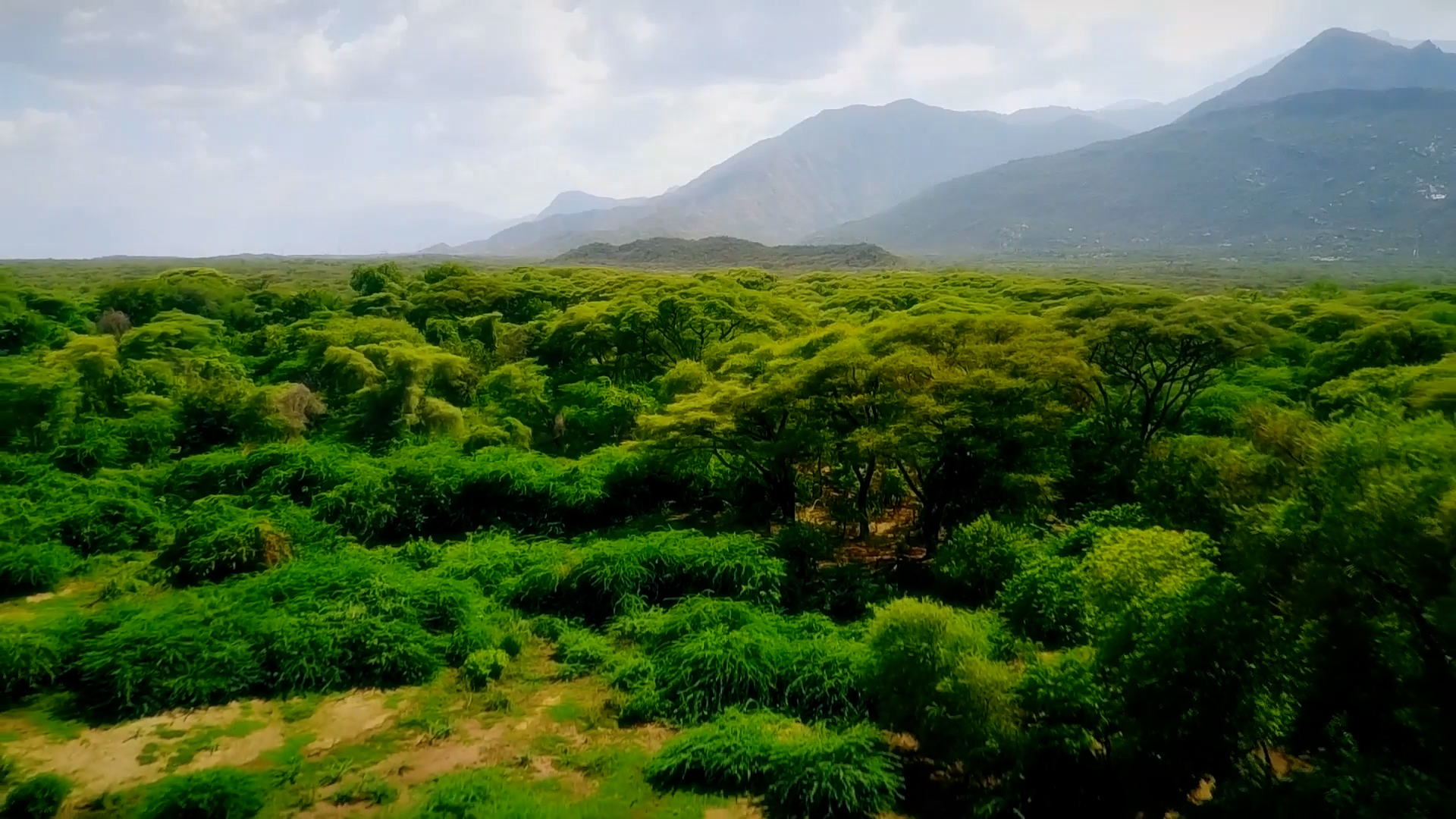 Stunning views of Sub-Saharan Africa (Gabon, Kenya, São Tomé and ...