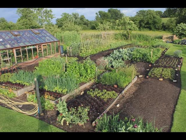 No dig with Charles Dowding, showing his fourth summer at Homeacres