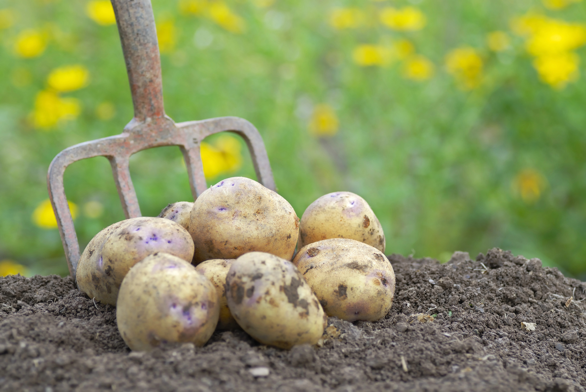 13 simple money-saving tricks that older generations swear by