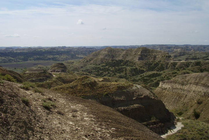 10 essential tips for fossil hunting across the US
