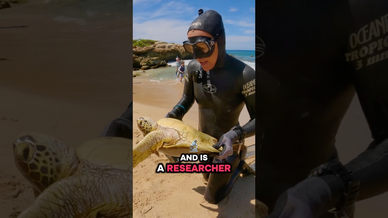 She took a turtle out of the ocean! Was it a crime?