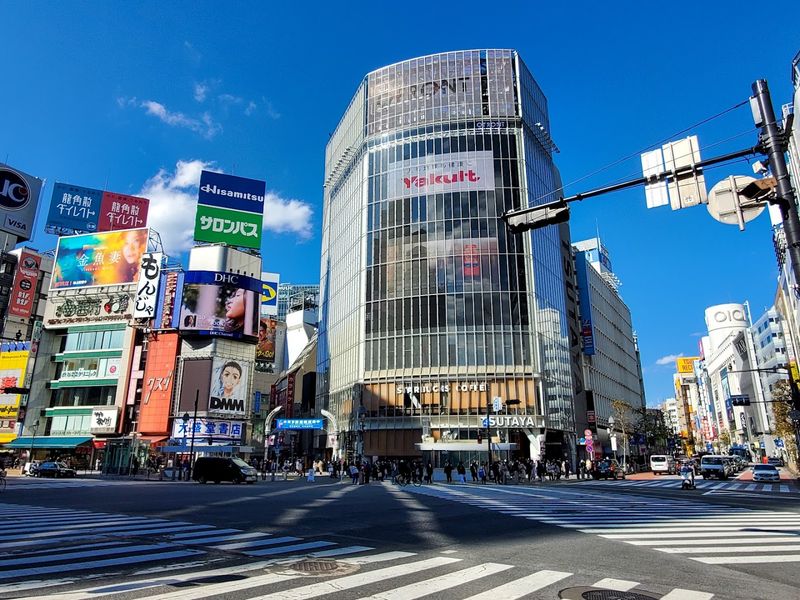15 must-see places in Japan for first-time visitors (Tokyo, Kyoto ...
