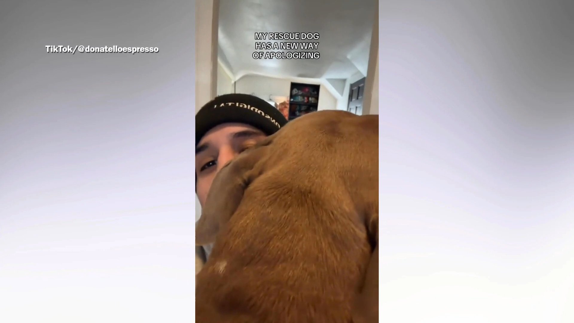 Dog’s Reaction to Owner Getting Stern