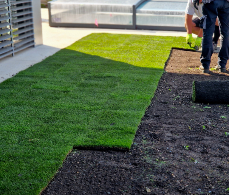 Sod vs. seed: The fastest way to get a lush lawn (and the best one long ...