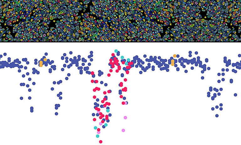 Mapping mutations at scale in a single gene reveals new ...