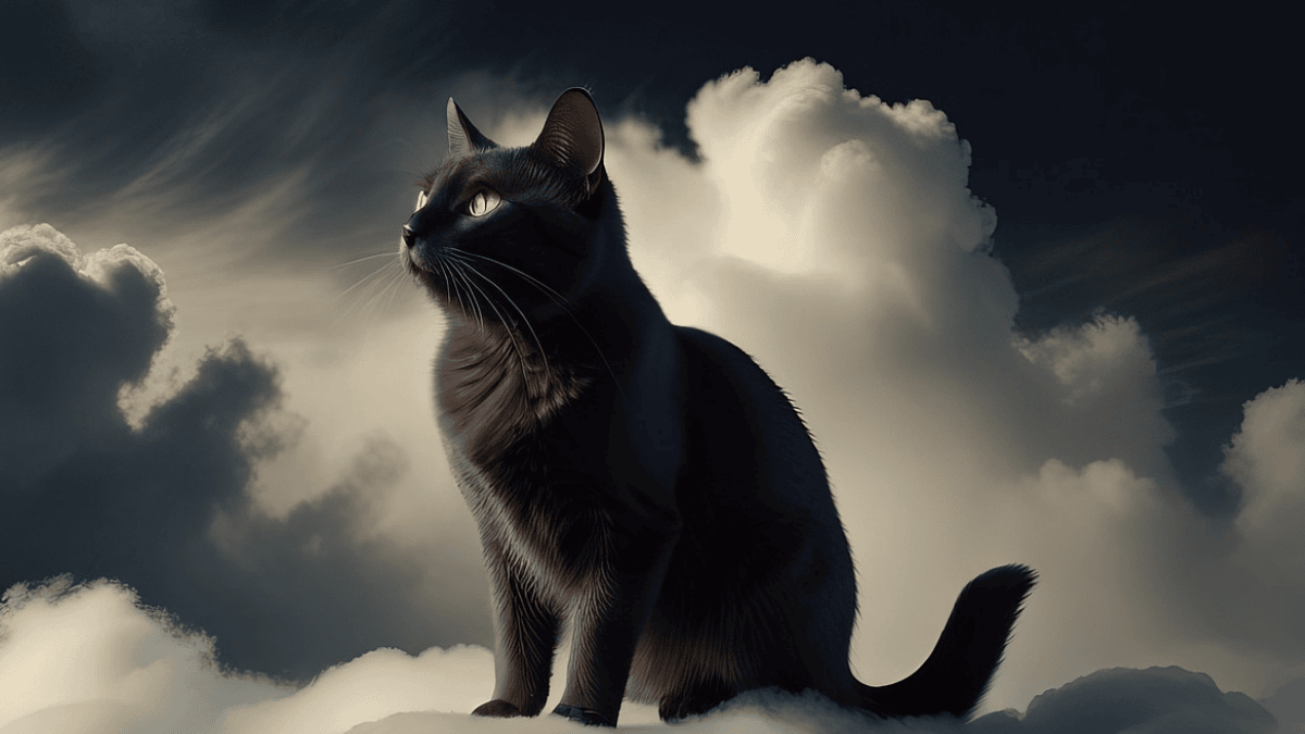 Does your cat protect you? These 5 characteristics are proof that you ...