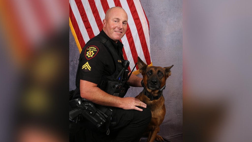 Solano County K-9 recovering after being stabbed while helping arrest ...