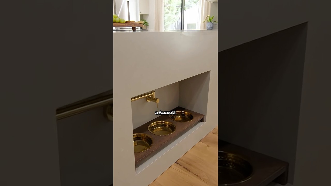 Watch mind-blowing dog feeding stations transform everyday routines