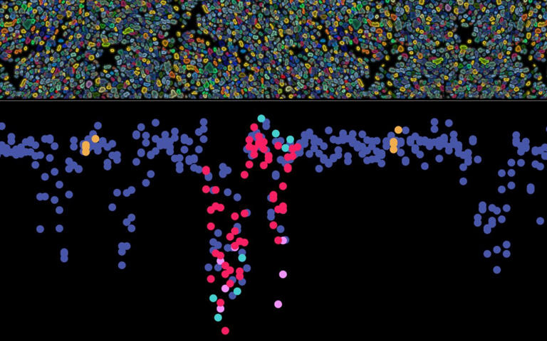 Mapping mutations at scale in a single gene reveals new ...