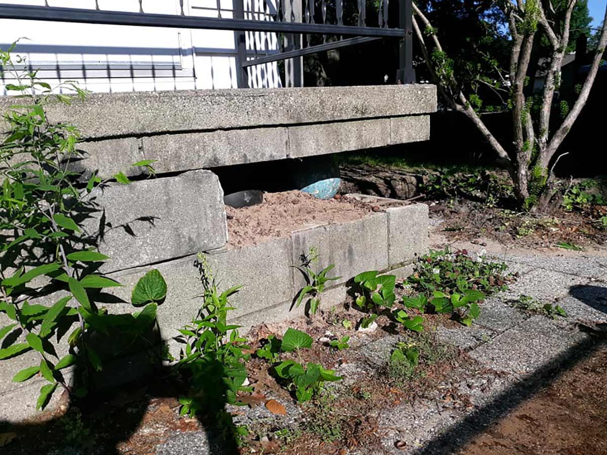 What this family found during renovations left even experts confused