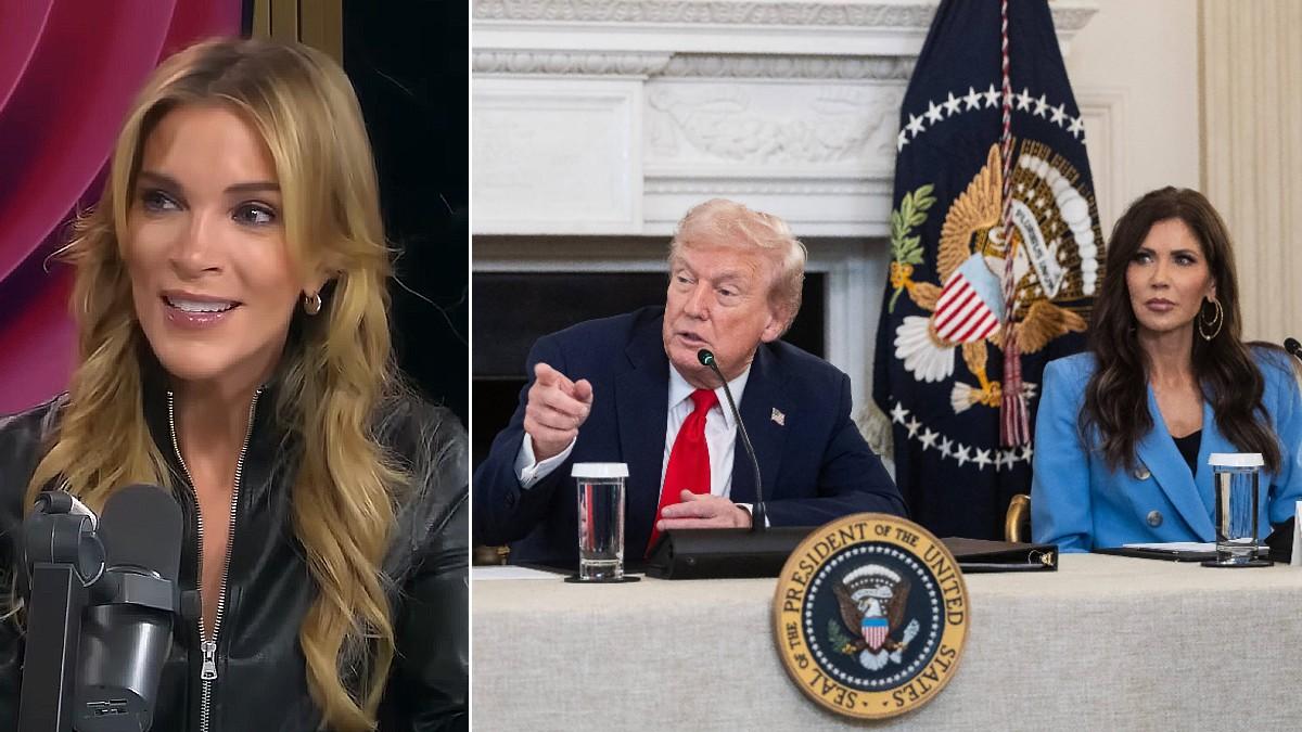 Megyn Kelly says there's 'no way' Donald Trump didn't know about Kristi ...